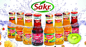 Sakr Group